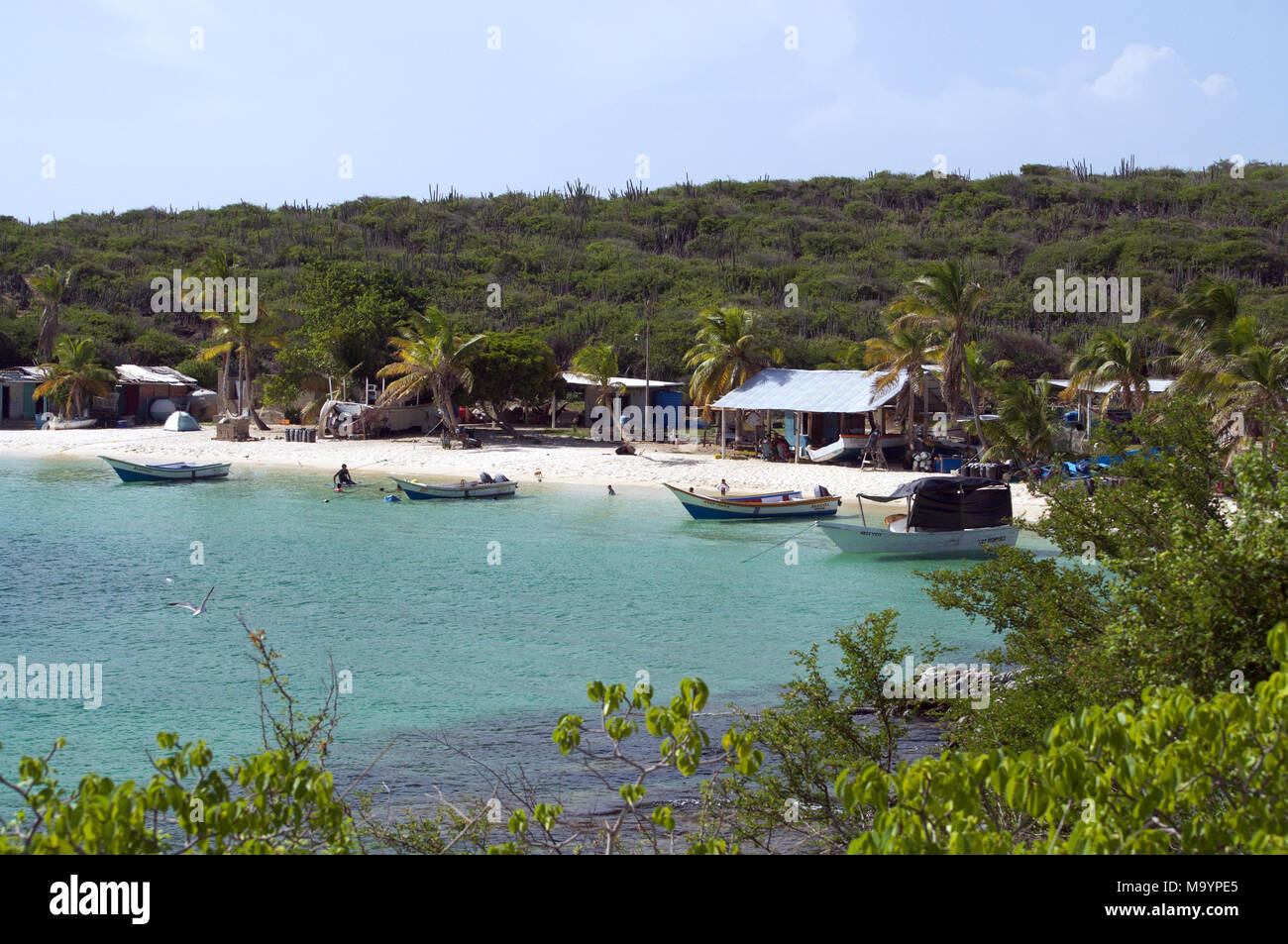 Beautiful Caribbean Isles. Archipiélago Los Testigos Stock Photo - Alamy