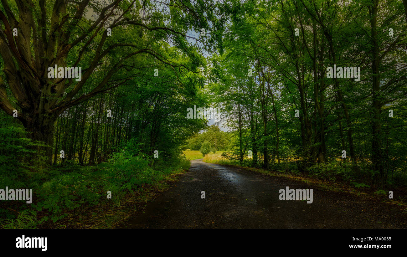 Hungarian rural landscape hi-res stock photography and images - Alamy