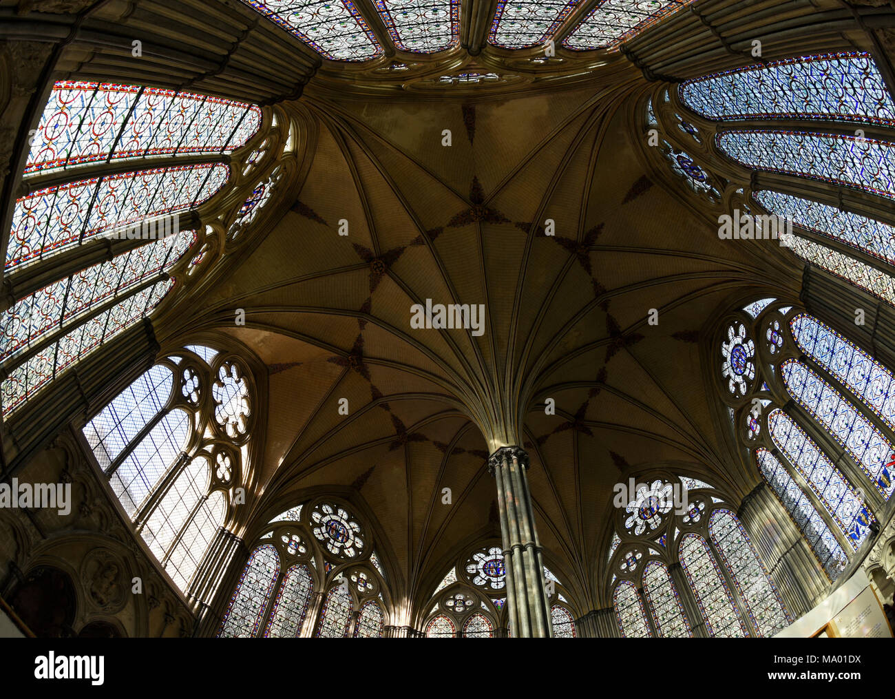 Salisbury Cathedral Chapter House High Resolution Stock Photography and ...