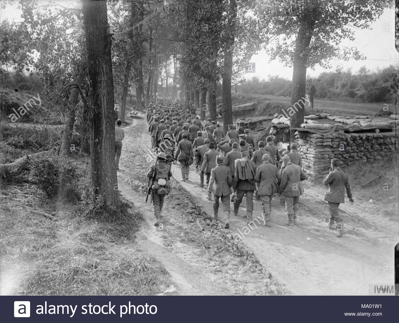 Battle Of Flers Courcelette Stock Photos & Battle Of Flers Courcelette ...