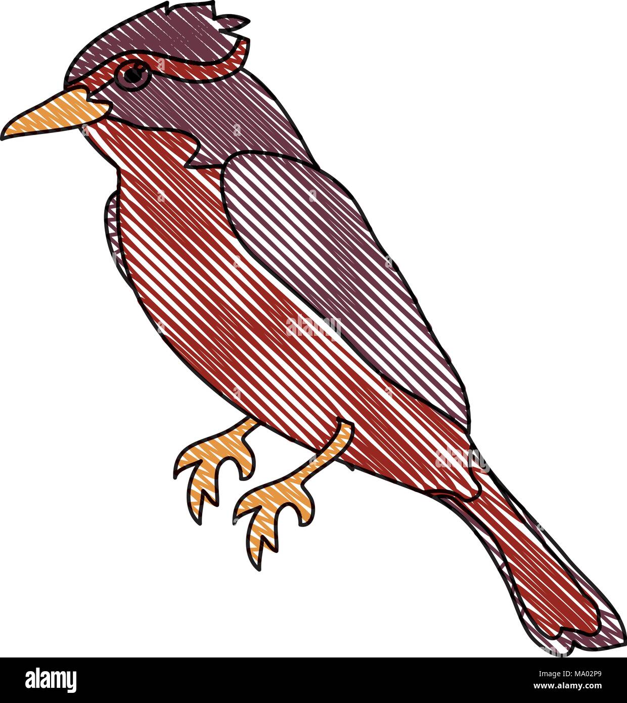 doodle cute northern cardinal bird animal Stock Vector Image & Art - Alamy