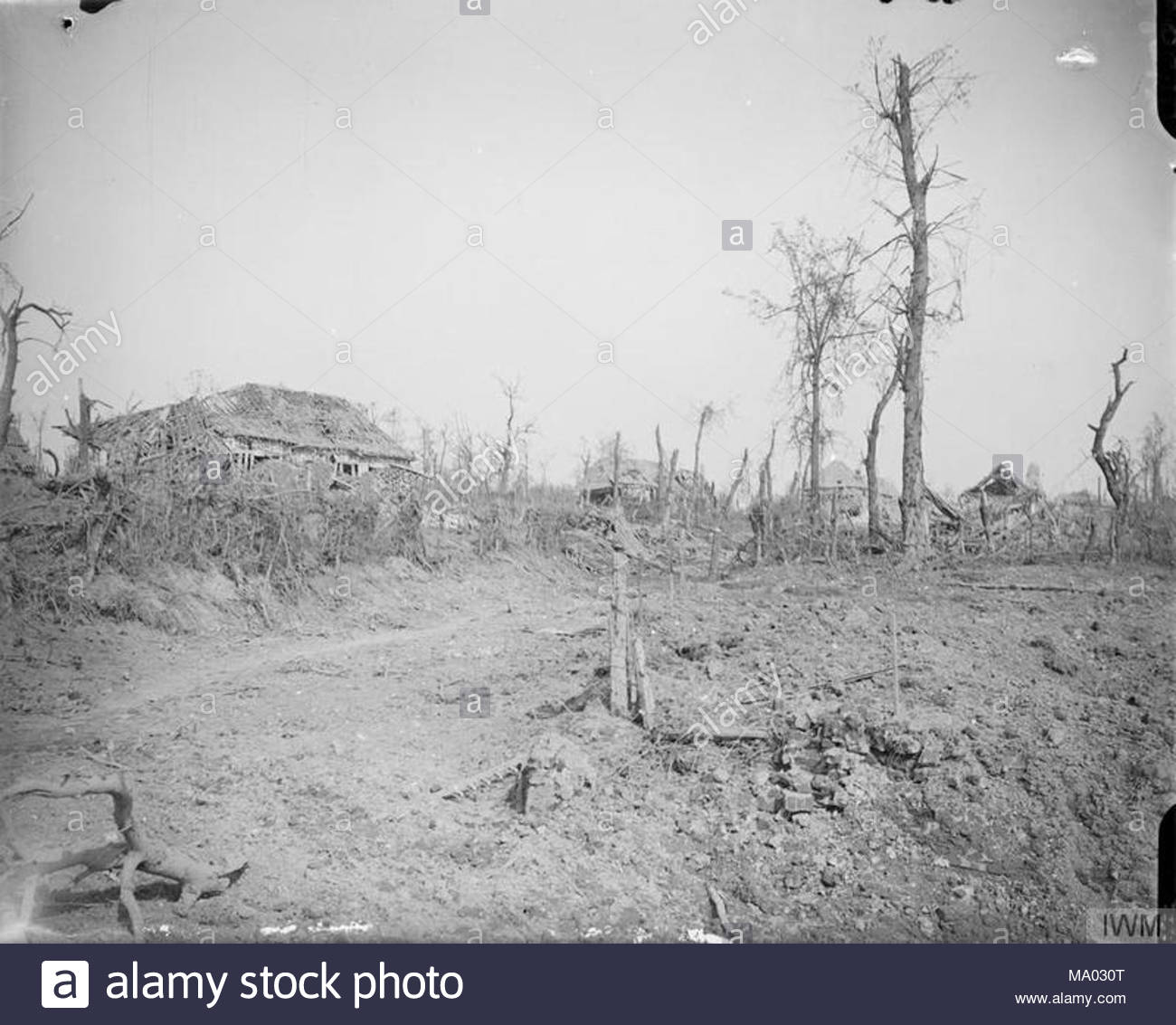 Battle Of Morval Stock Photos & Battle Of Morval Stock Images - Alamy
