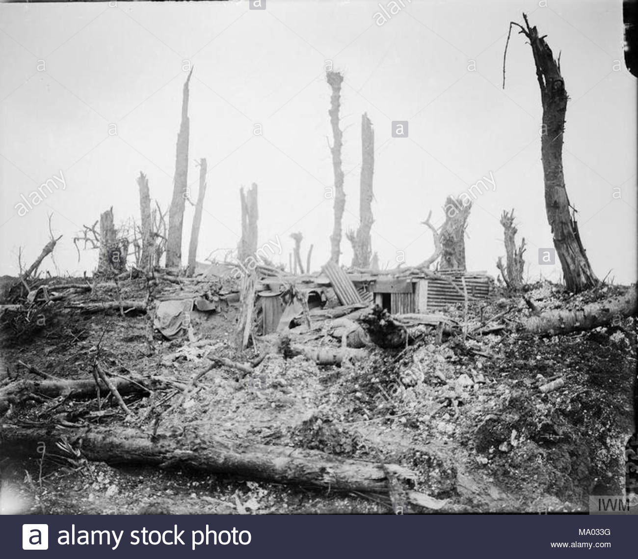 Battle Of Flers Courcelette Stock Photos & Battle Of Flers Courcelette ...