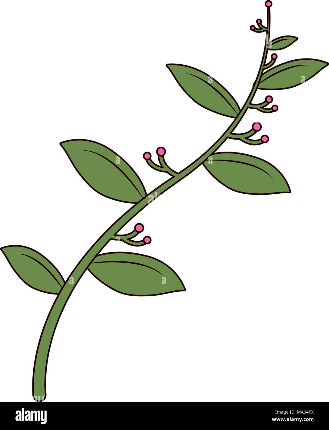 nature leaves with flowers plant branch Stock Vector Image & Art - Alamy