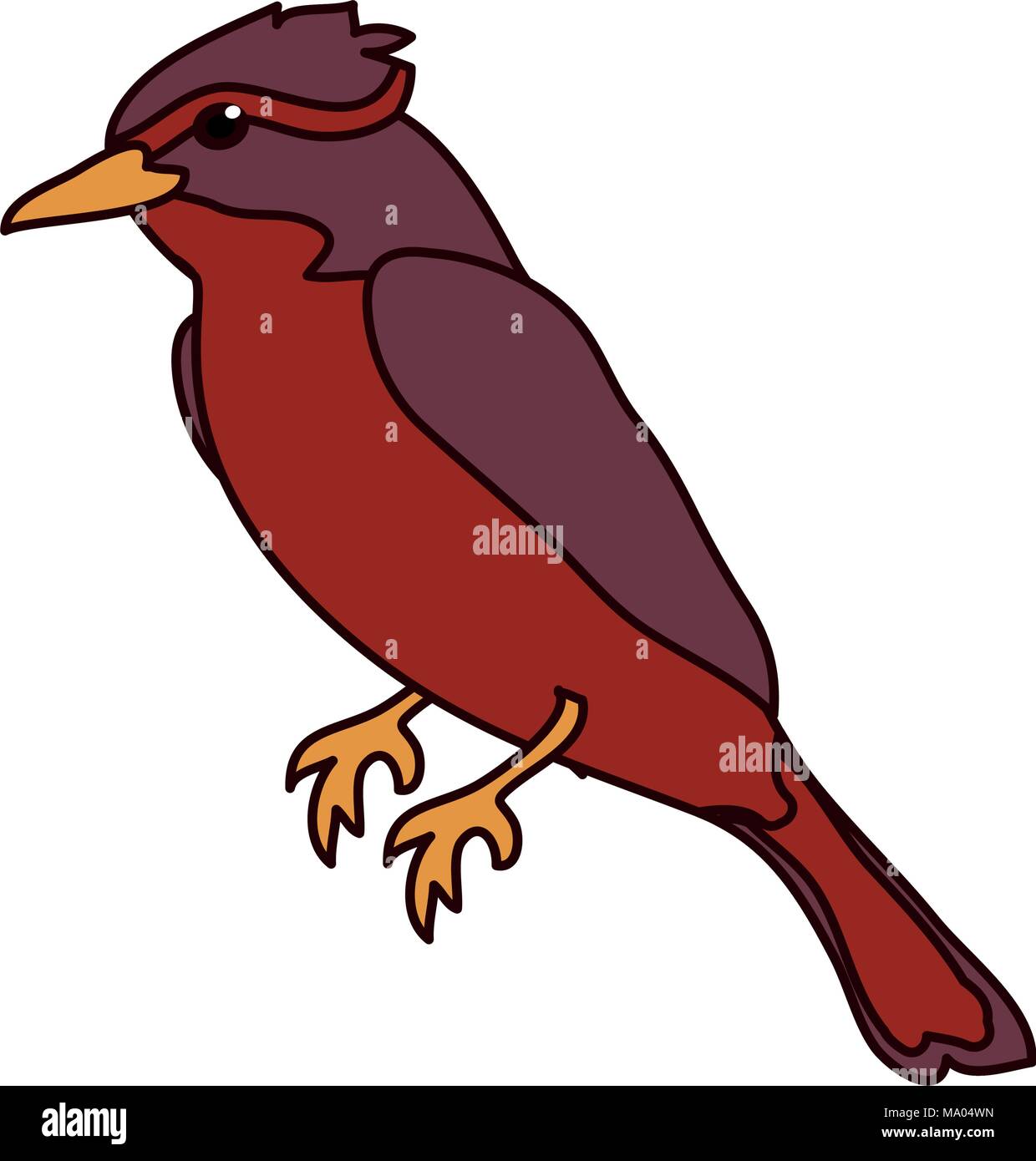 Northern cardinal Stock Vector Images - Alamy