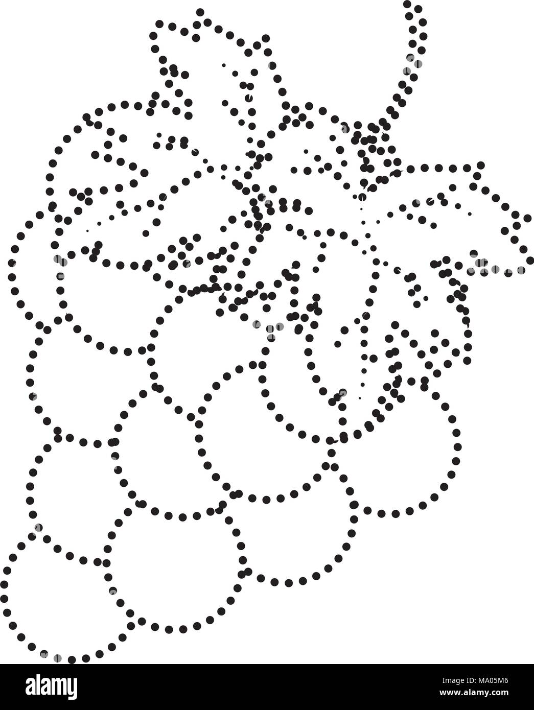 dotted shape delicious grape fruit organic tasty Stock Vector Image ...