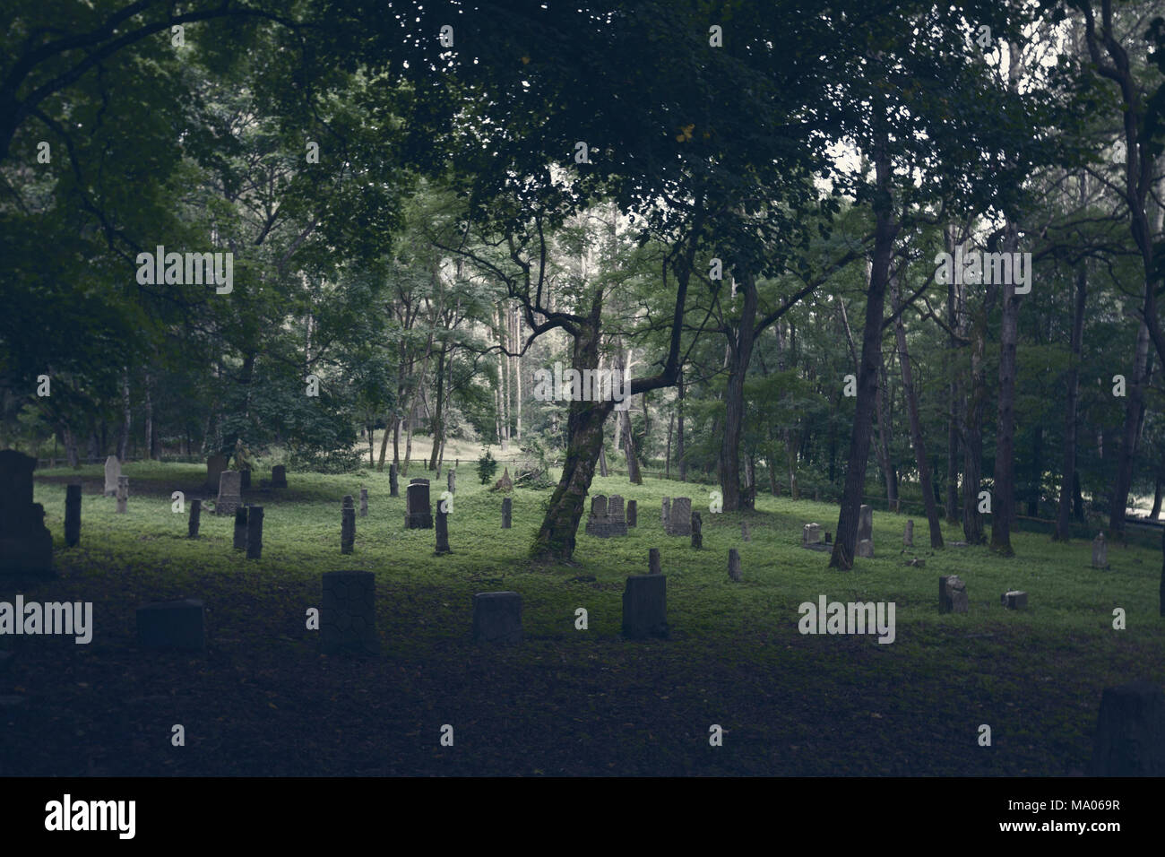 Old antique graveyard in the forest Stock Photo - Alamy