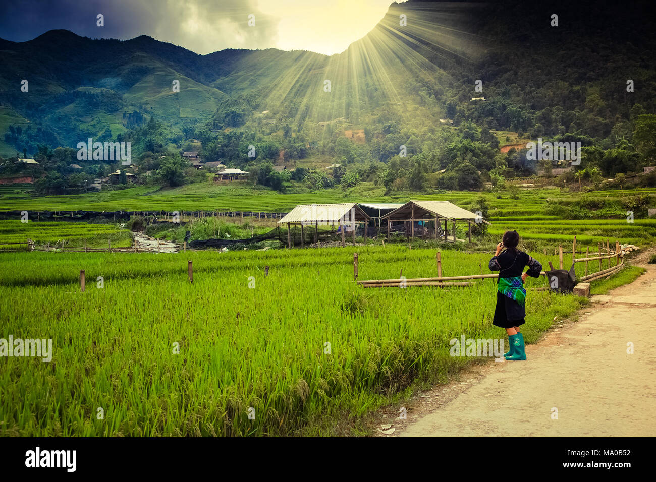 Ta pa rice fields, vietnam hi-res stock photography and images - Alamy