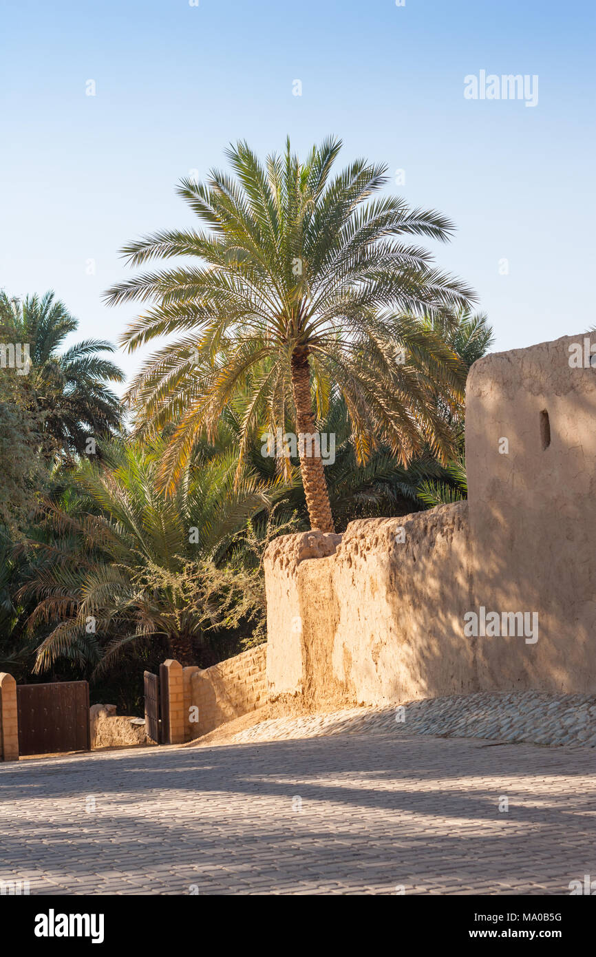 Jimy oasis hi-res stock photography and images - Alamy