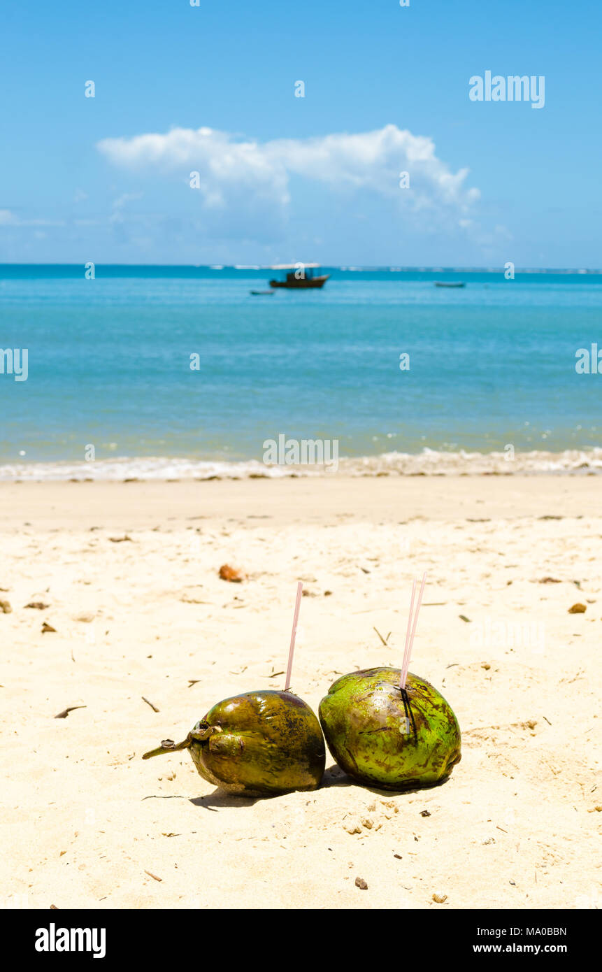 pair of green coconut together on the beach sand in the foreground, in ...