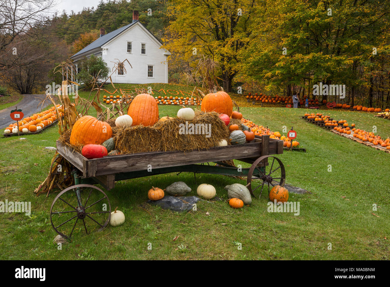 Roadside farmstand hi-res stock photography and images - Alamy