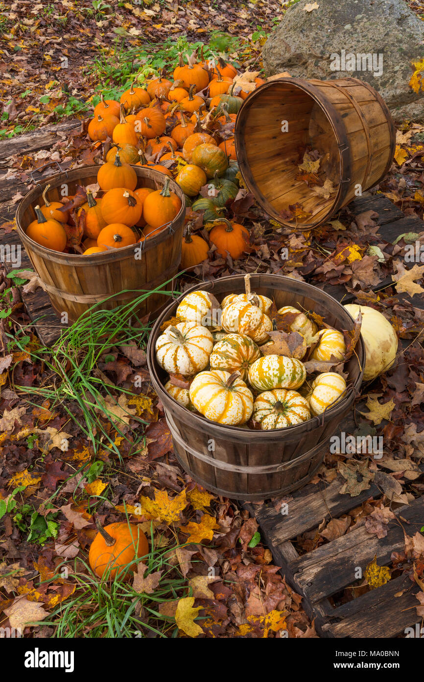 Bennington road hi-res stock photography and images - Alamy