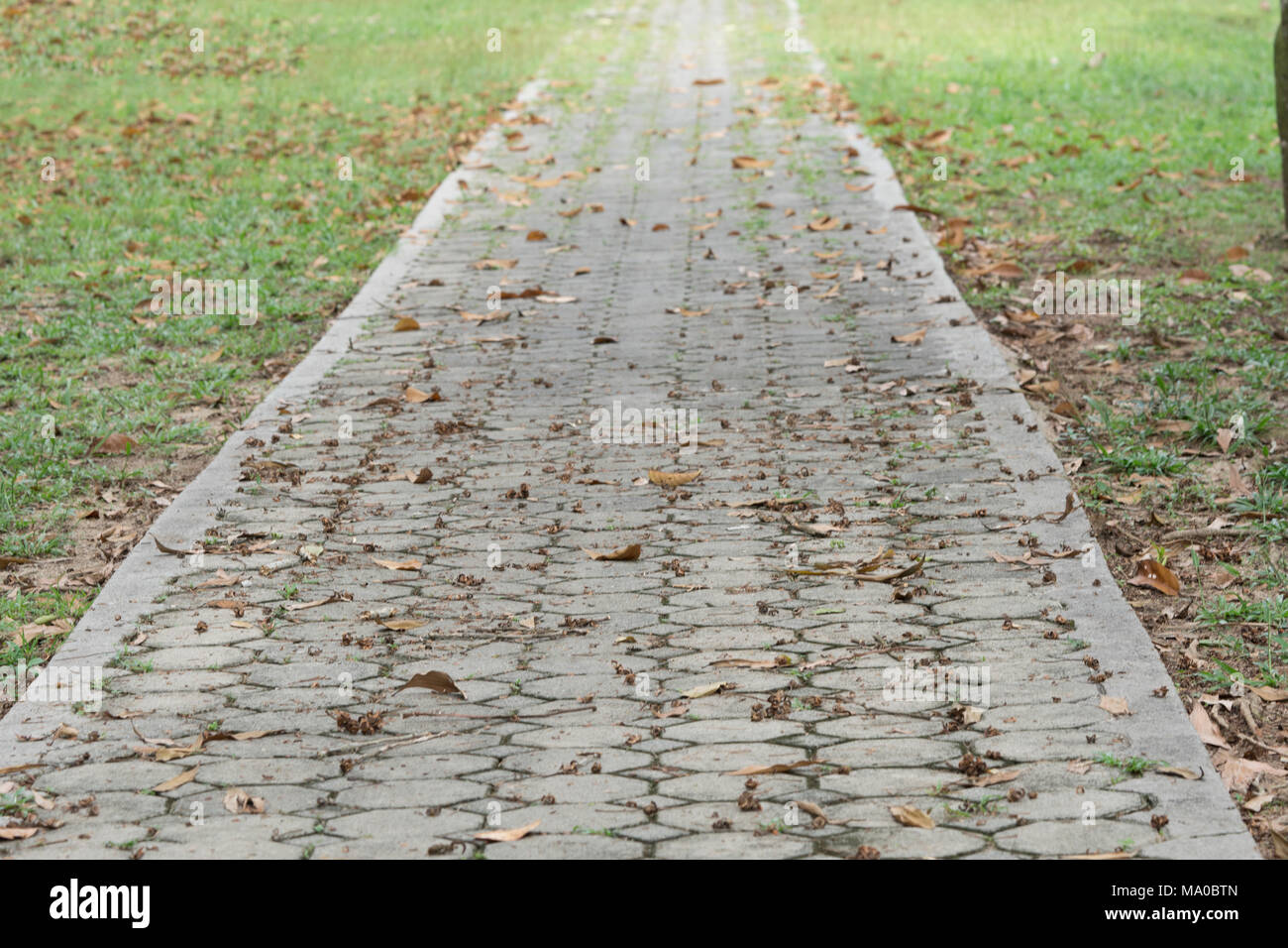 Footpath old park hi-res stock photography and images - Alamy