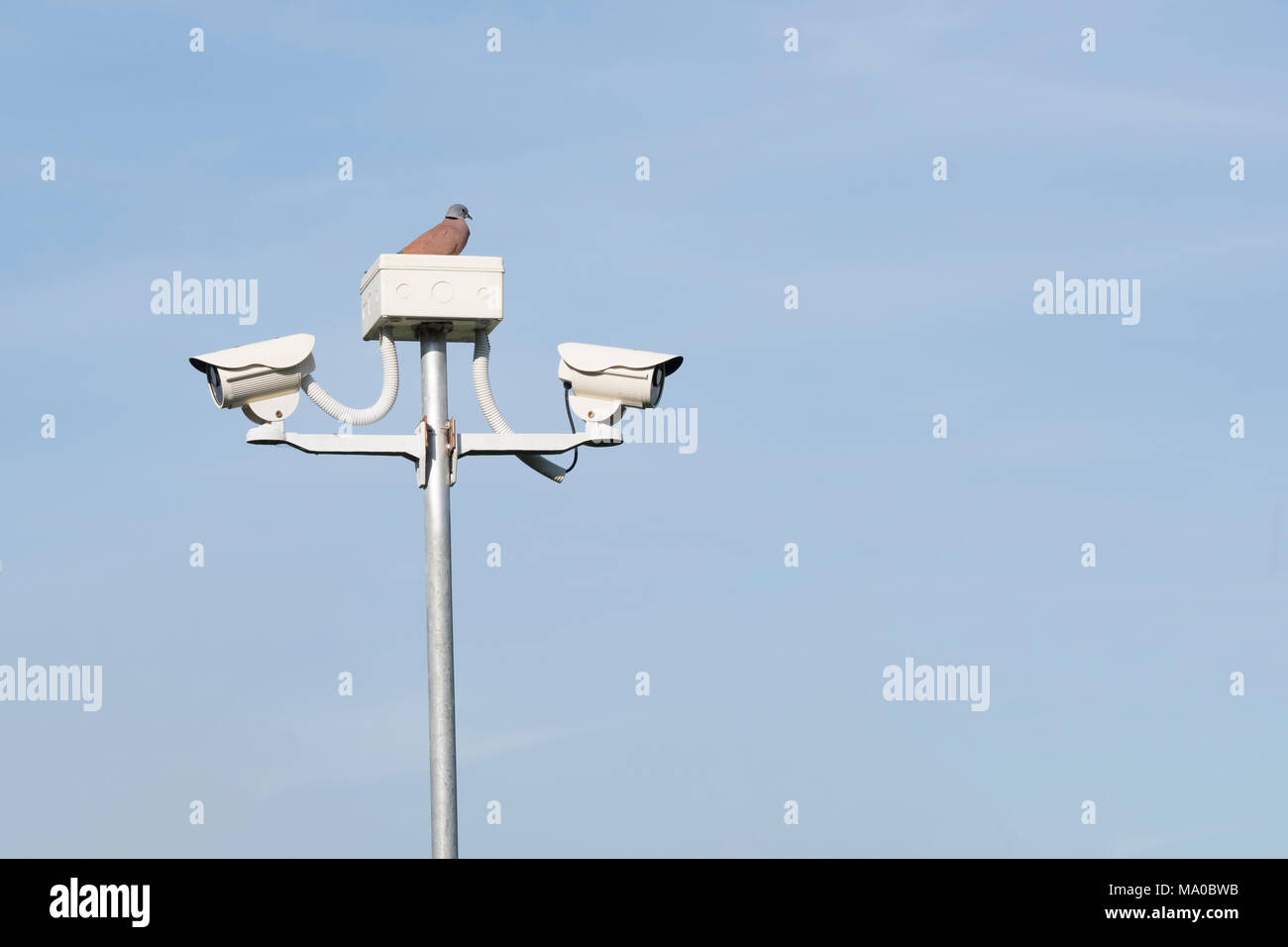 Warning security cameras in use hi-res stock photography and images - Alamy