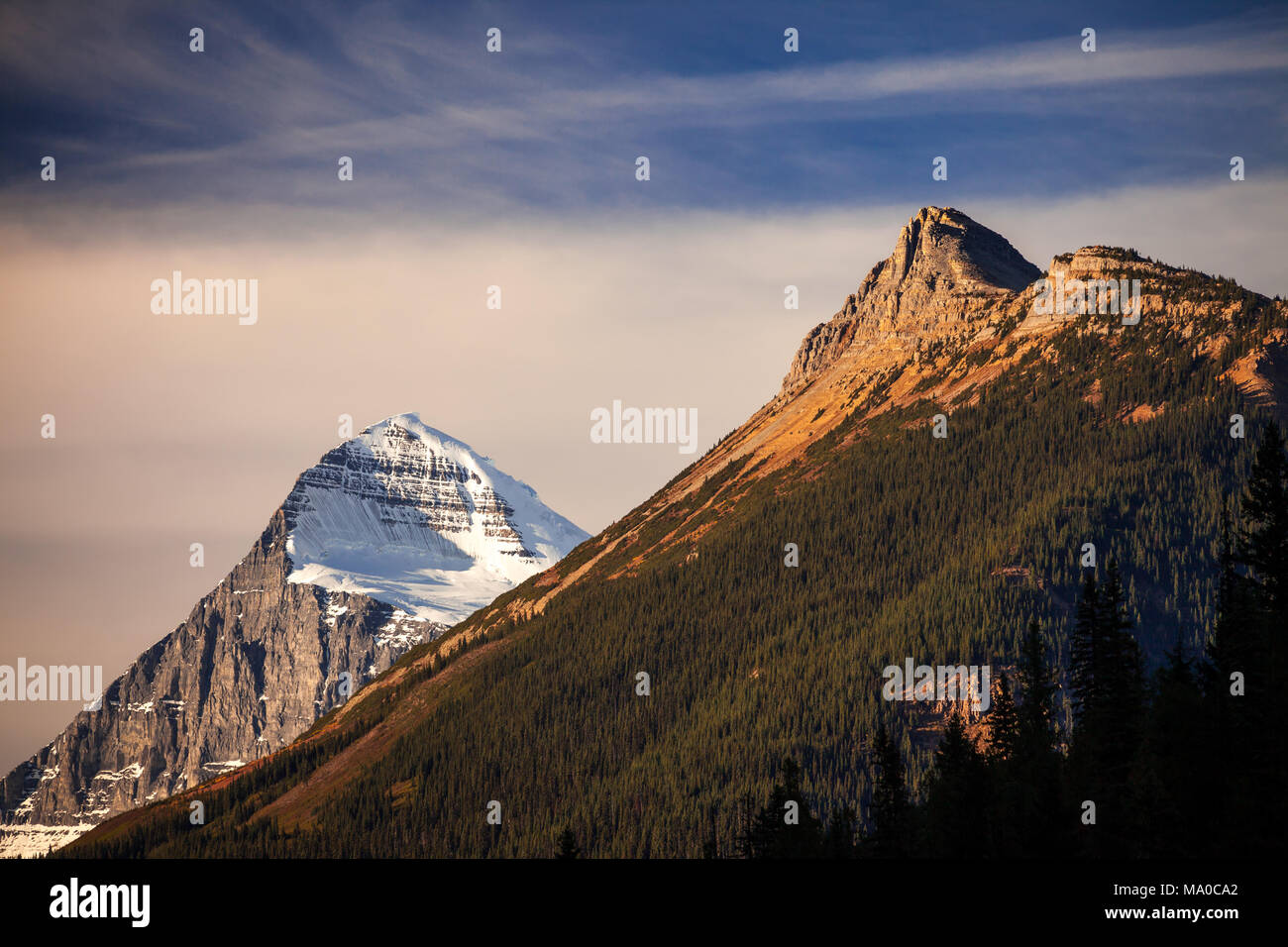 View of Mount Columbia, tallest peak in Alberta, Canada Stock Photo - Alamy