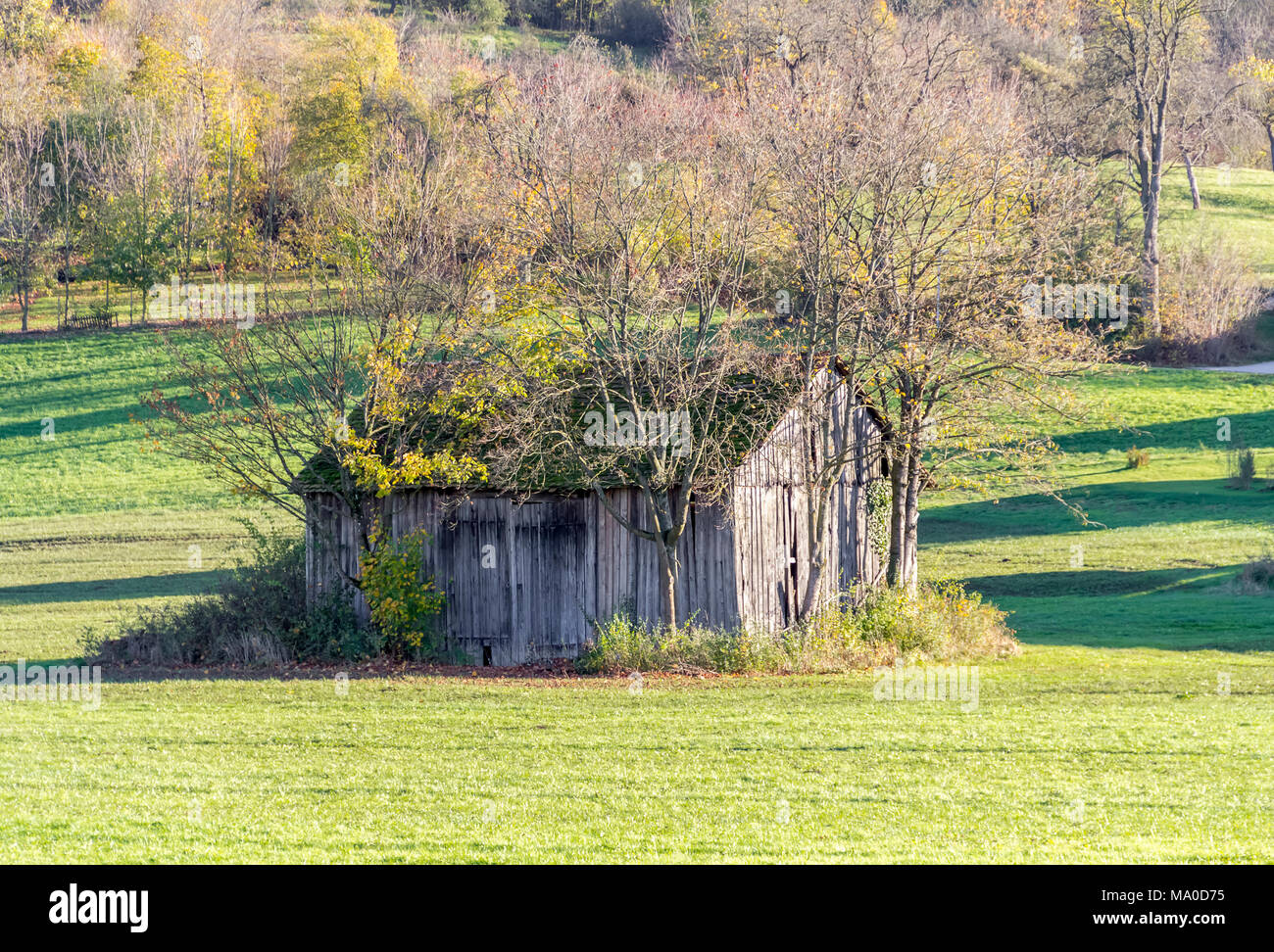 sunny scenery with small wooden hut at autumn time Stock Photo - Alamy