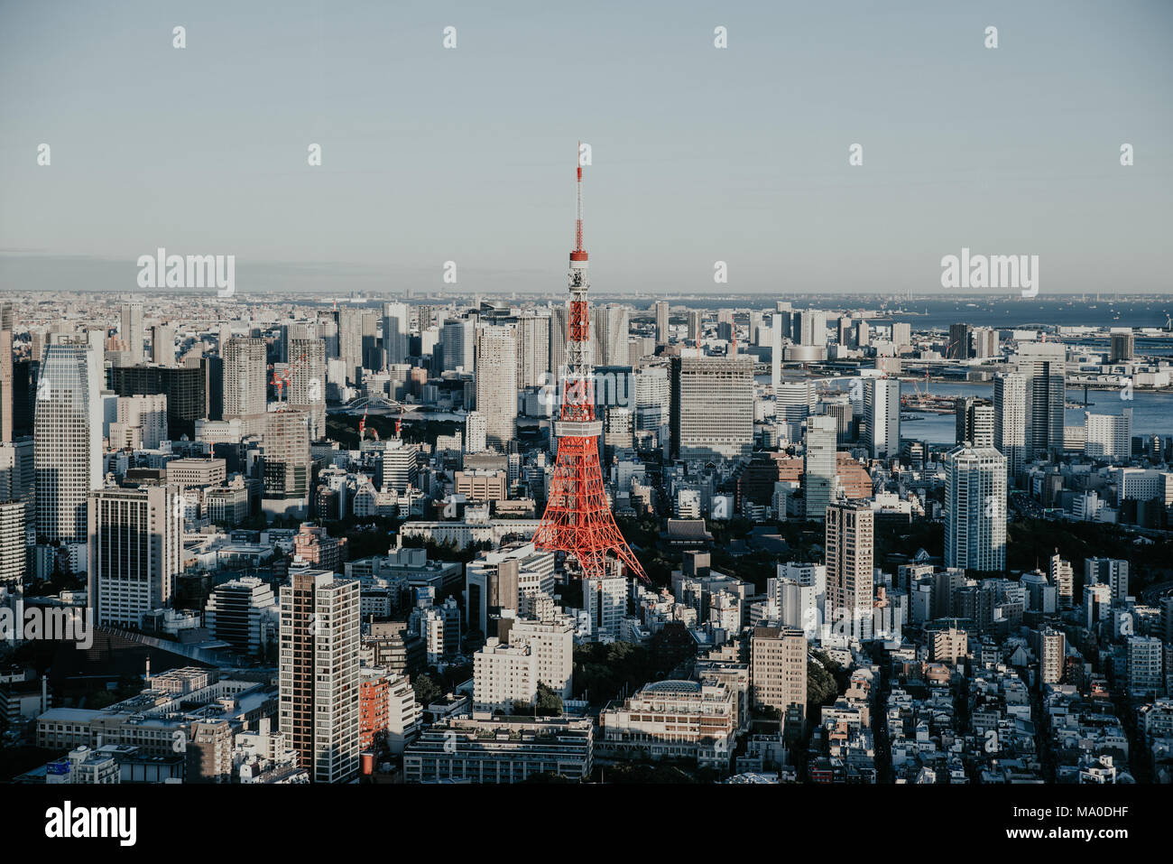 Tokyo skyline and buildings from above, view of the Tokyo tower Stock ...