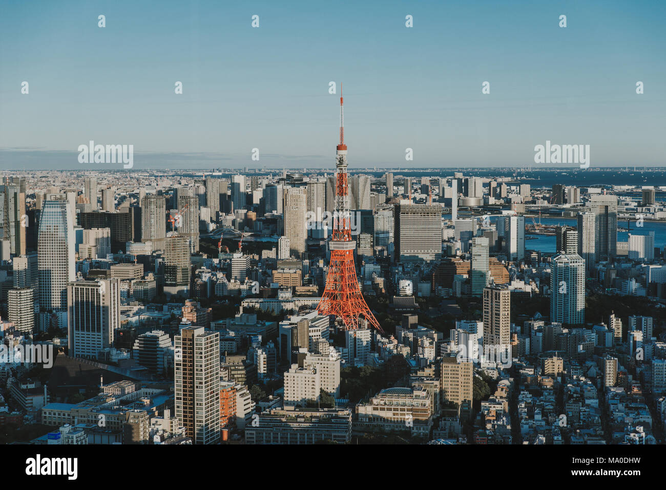 Tokyo skyline and buildings from above, view of the Tokyo tower Stock ...