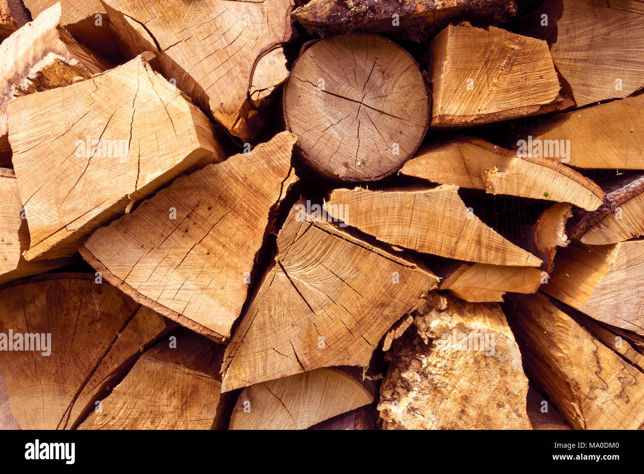 Texture of a tree close-up. Relief and patterns of wood. Building ...