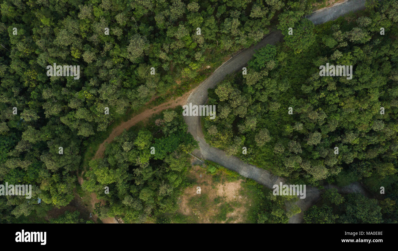 Aerial top view top view of the road through the trees Stock Photo - Alamy