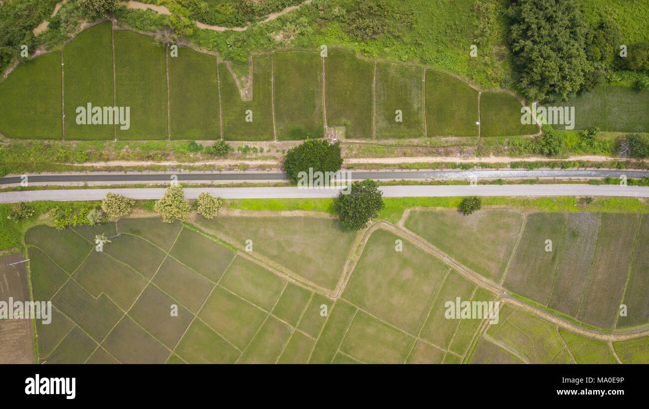 Aerial top view top view of the road through the trees Stock Photo - Alamy