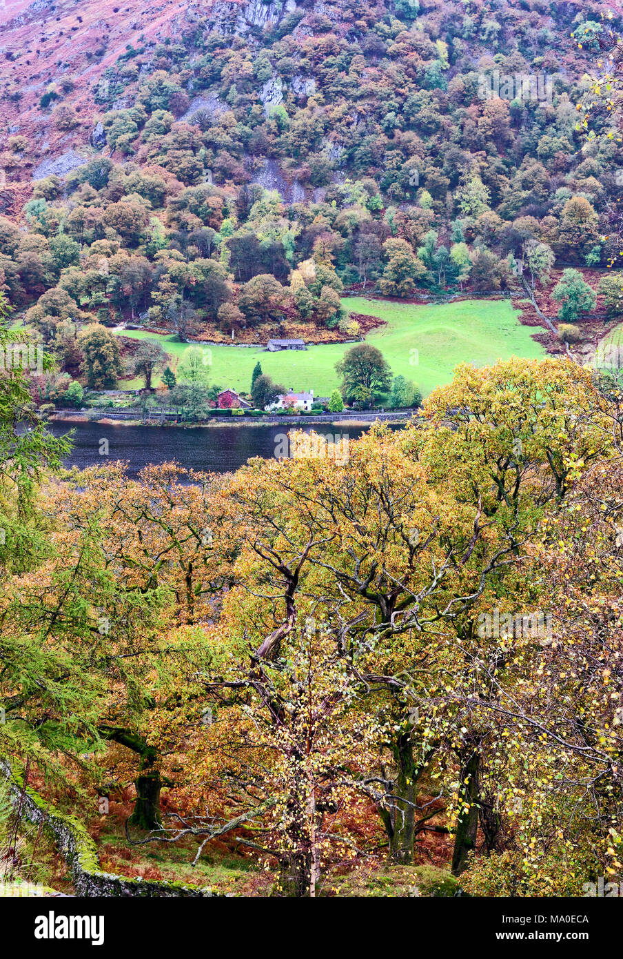 An elevated autumn view of the steep tree covered landscape near ...