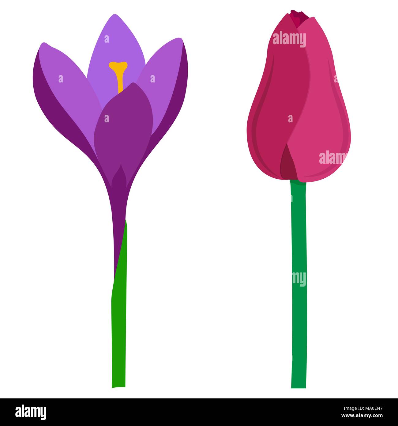 Crocus growing lawn Stock Vector Images - Alamy