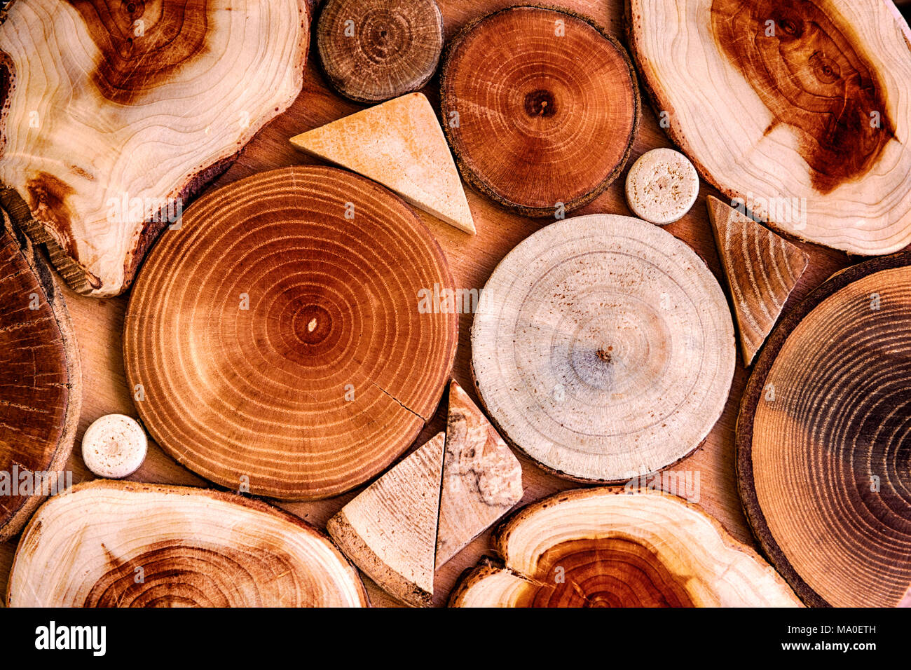 Texture of a tree close-up. Relief and patterns of wood. Building ...