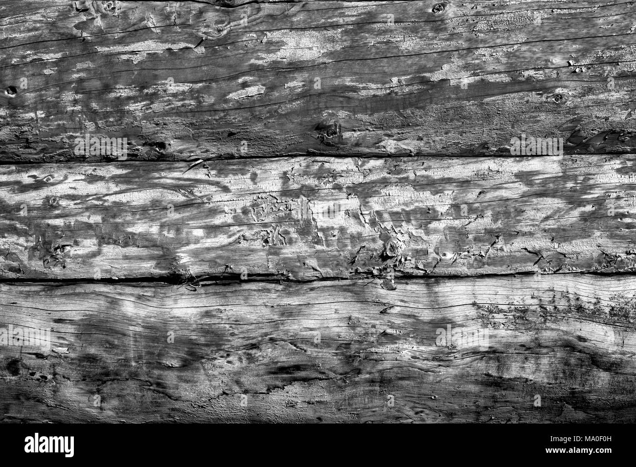 Texture of a tree close-up. Relief and patterns of wood. Building ...