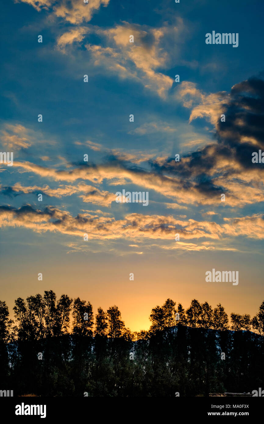 Dawn, clouds and trees, Poli Crysochous, Cyprus Stock Photo - Alamy