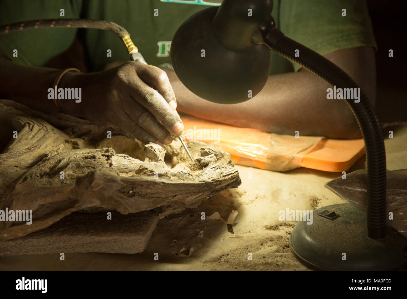Paleontologist hi-res stock photography and images - Alamy