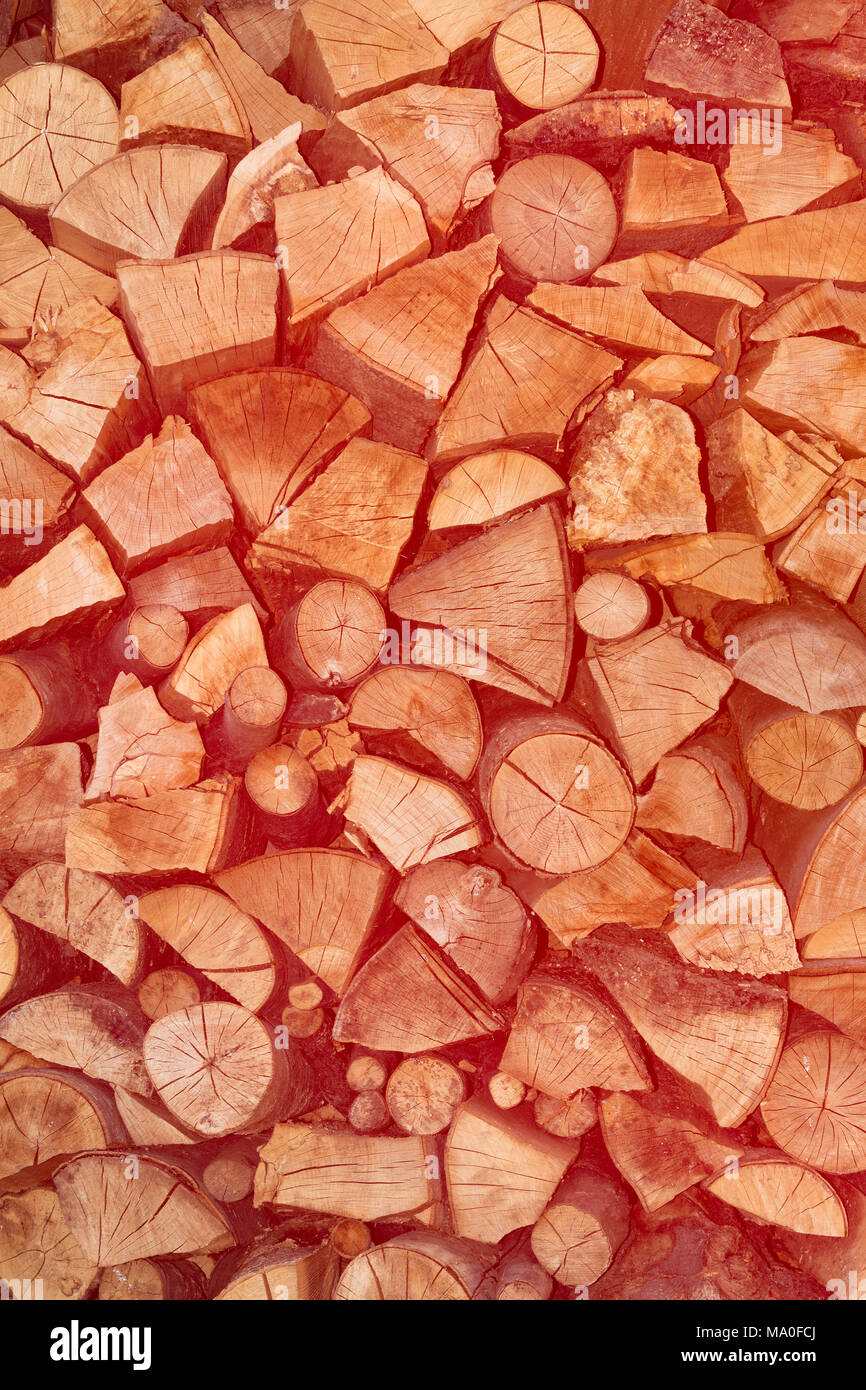 Texture of a tree close-up. Relief and patterns of wood. Building ...