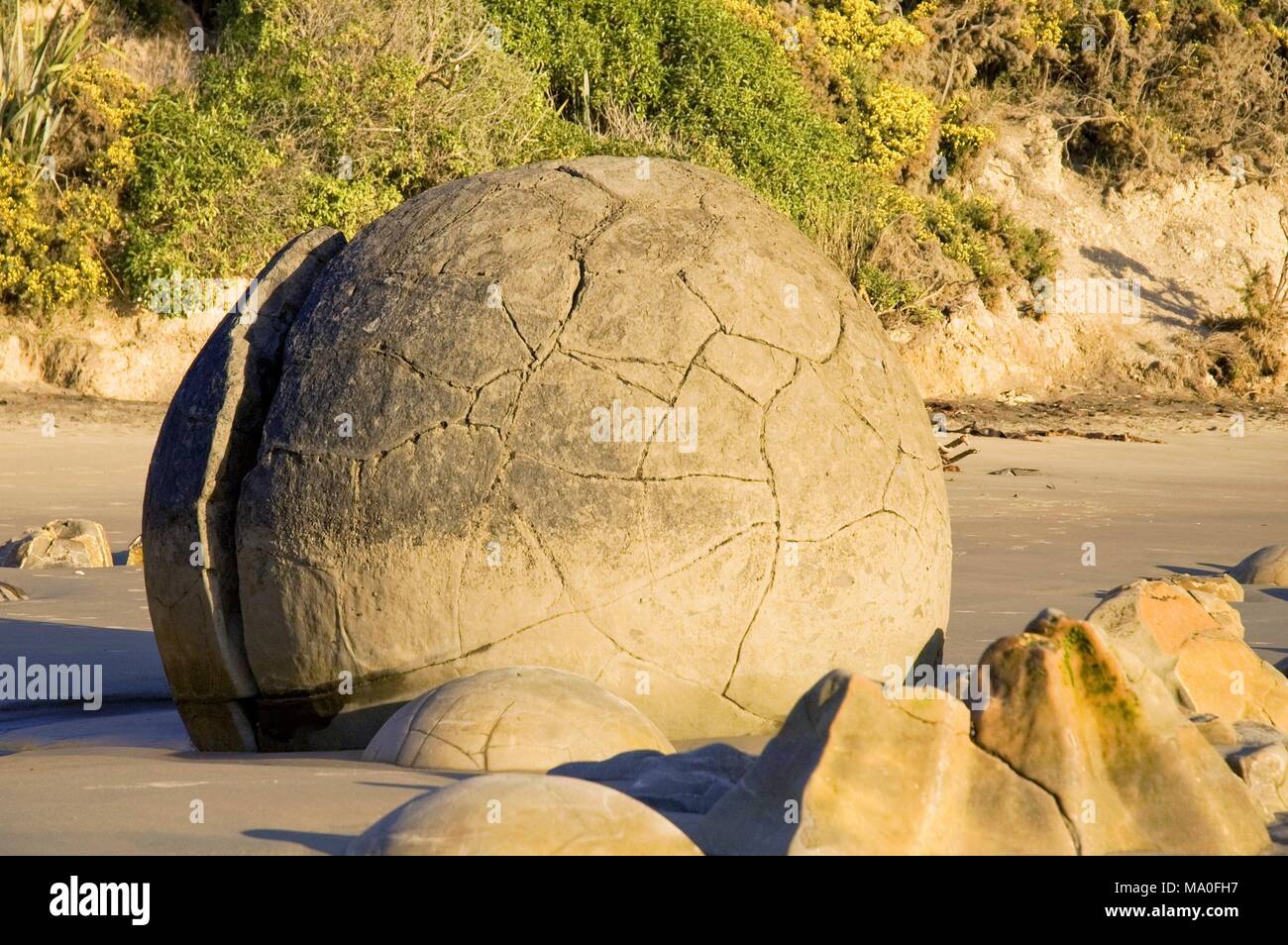 The Moeraki Boulders are unusually large and spherical boulders lying ...