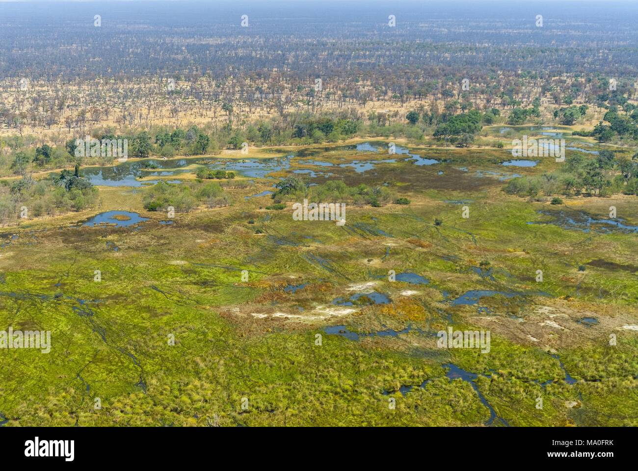 Aerial view of rivers, streams and grasslands in Okavango Delta ...