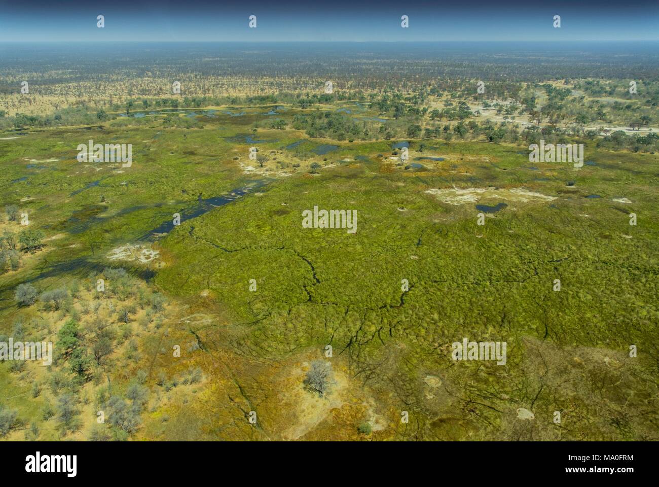 Aerial view of rivers, streams and grasslands in Okavango Delta ...