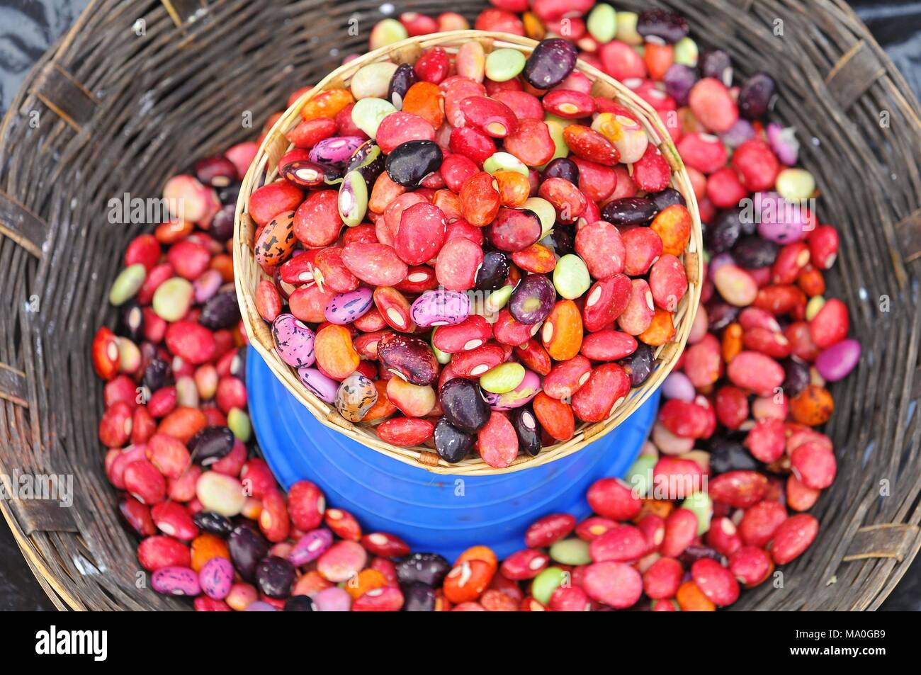 Whole, shelled beans for sale at a farmers market in San Cristobal de ...