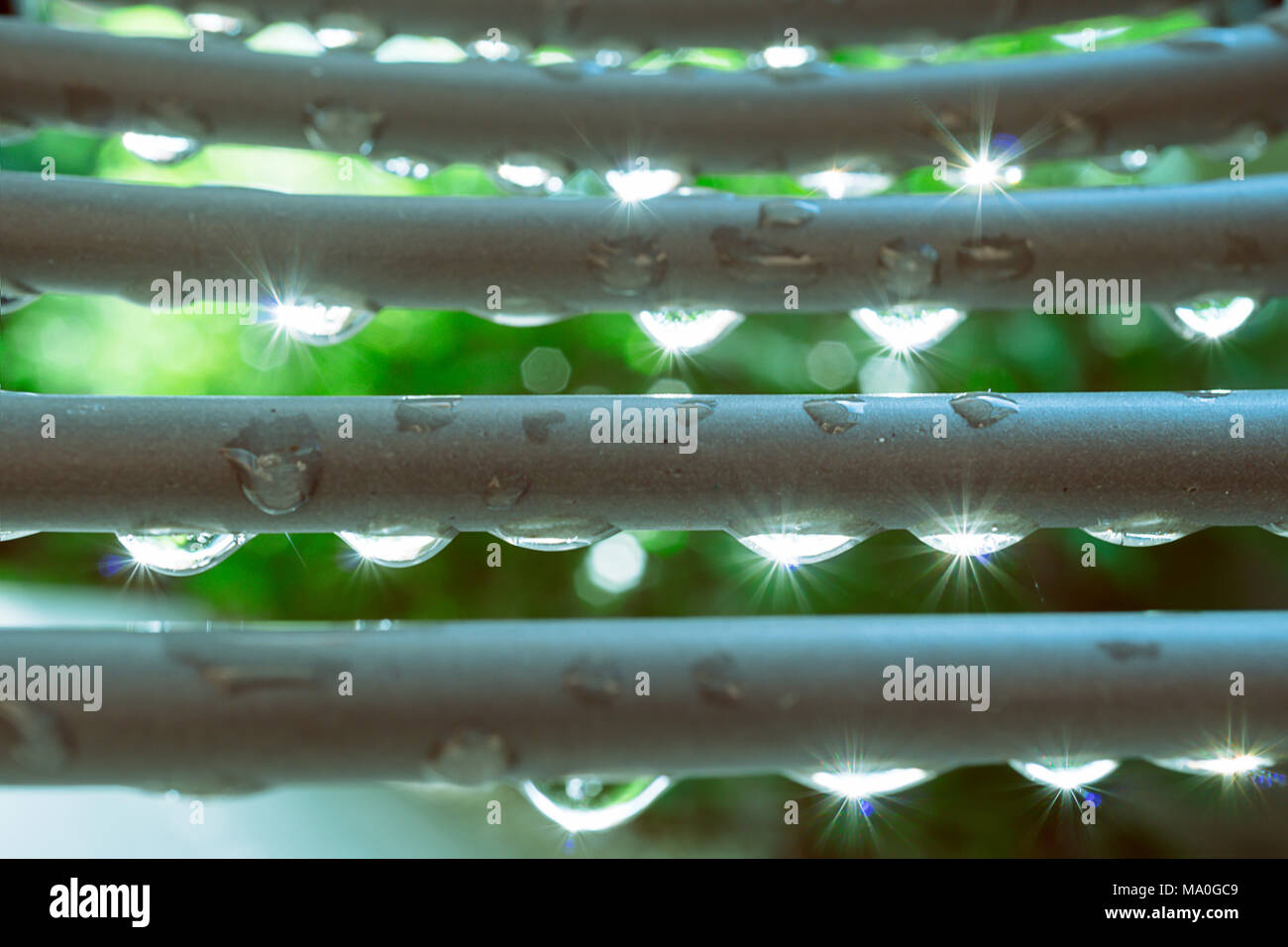 Sparkling dew drop hi-res stock photography and images - Alamy