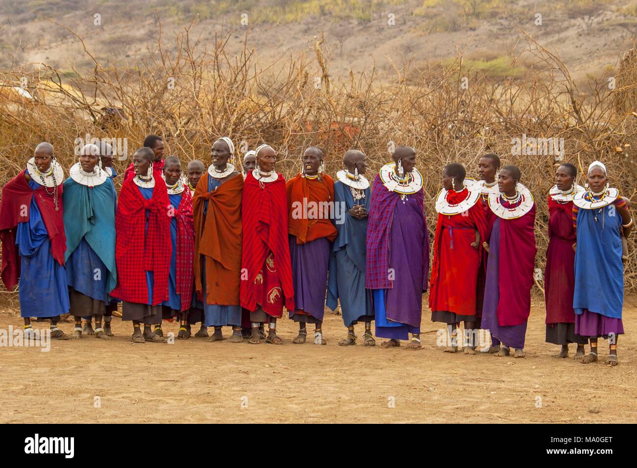 Massai group with traditional clothing hi-res stock photography and ...
