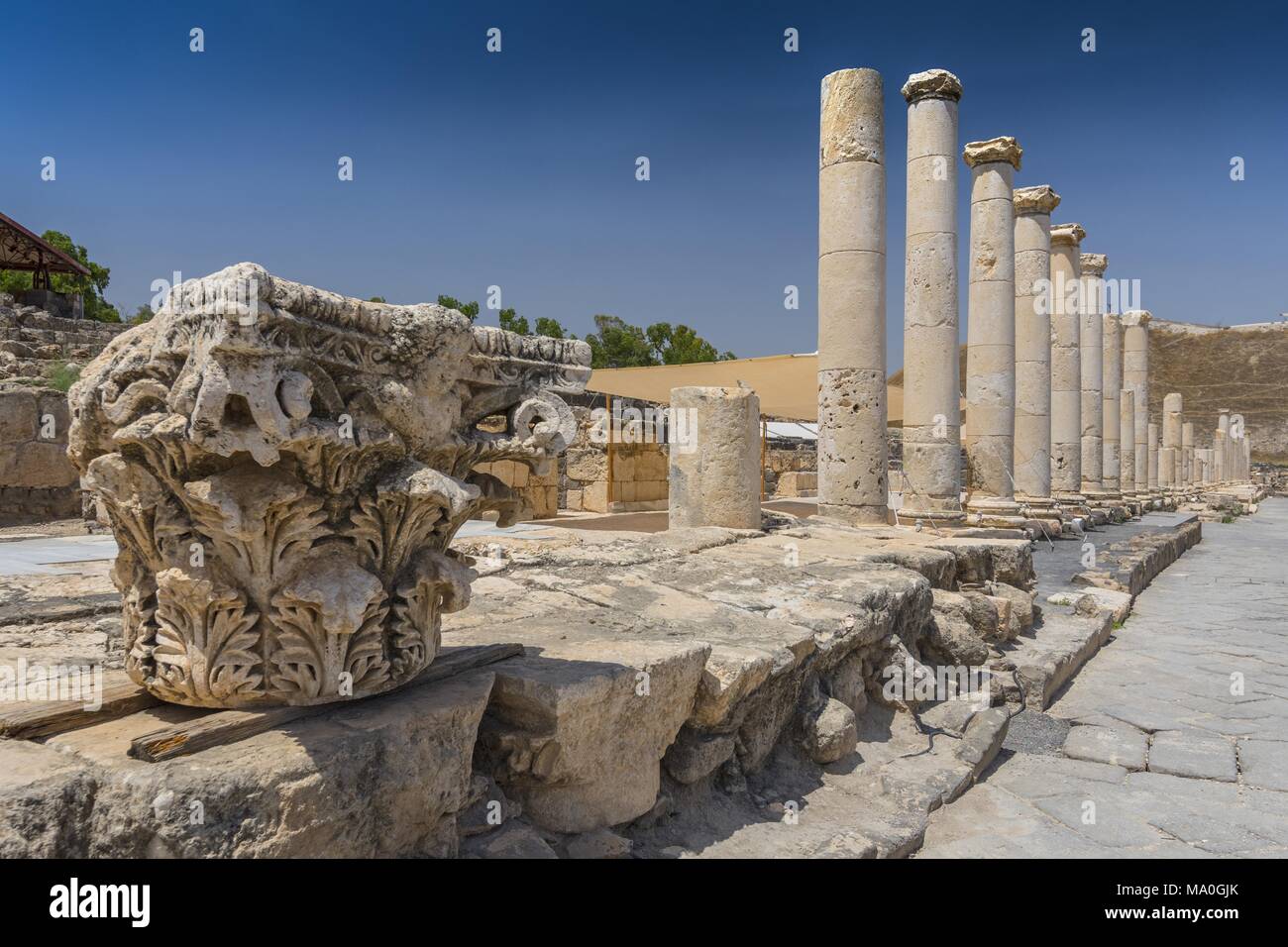 Ruins of the Roman Byzantine city Scythopolis, Tel Beit Shean National Park, Israel Stock Photo ...