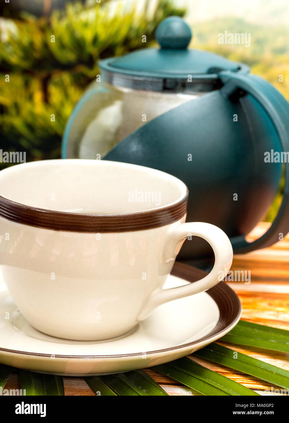 Refreshing Green Tea Representing Cafeterias Cafeteria And Drink Stock ...