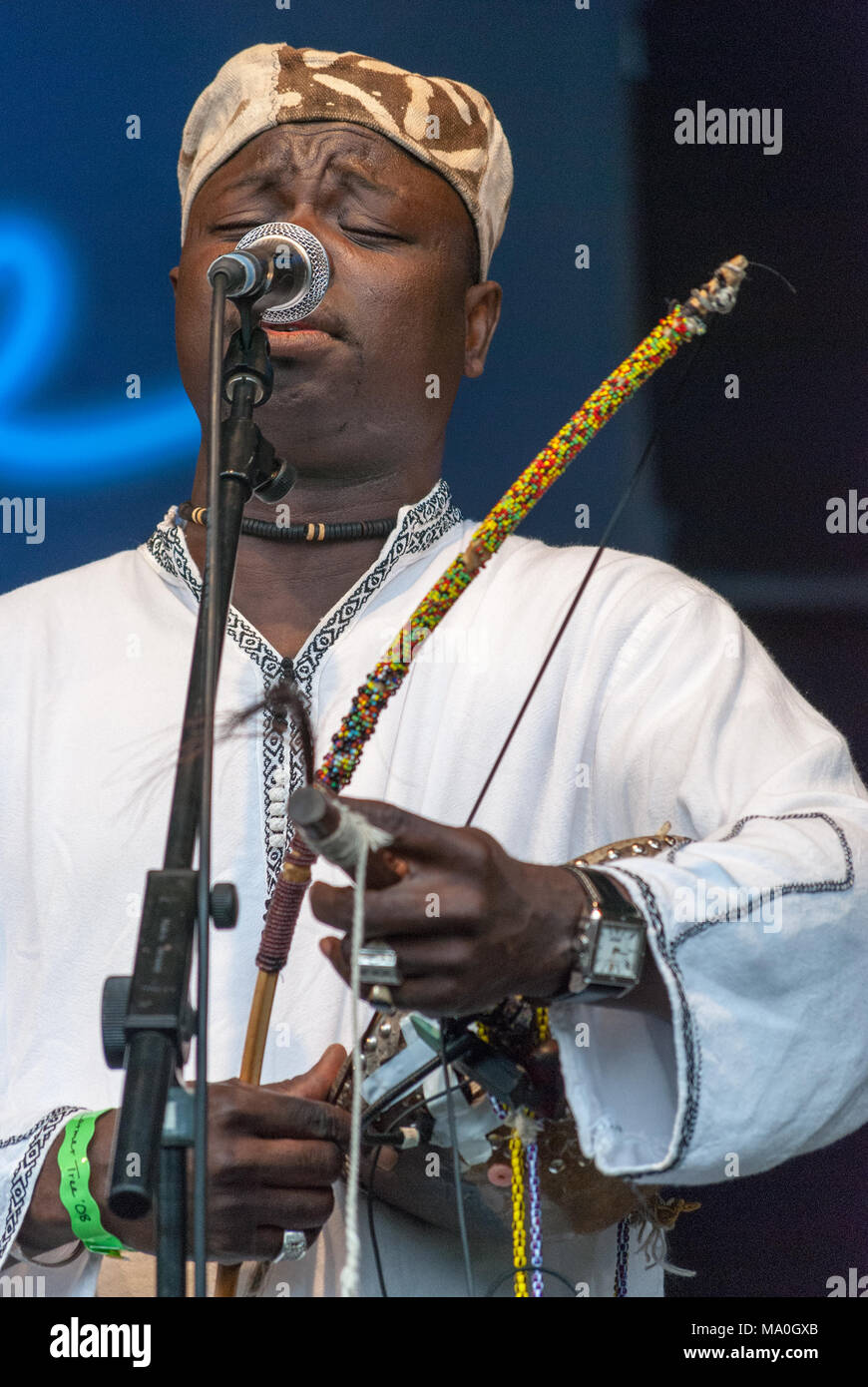 African world festival hi-res stock photography and images - Alamy
