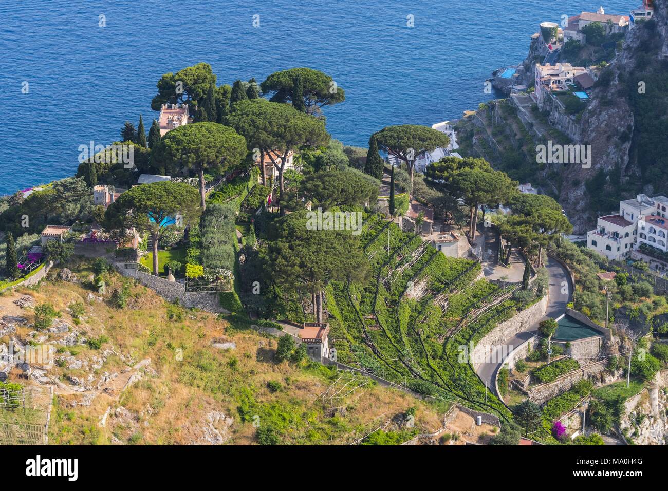 Vineyards among the hills along the Amalfi Coast, at Ravello, Italy ...