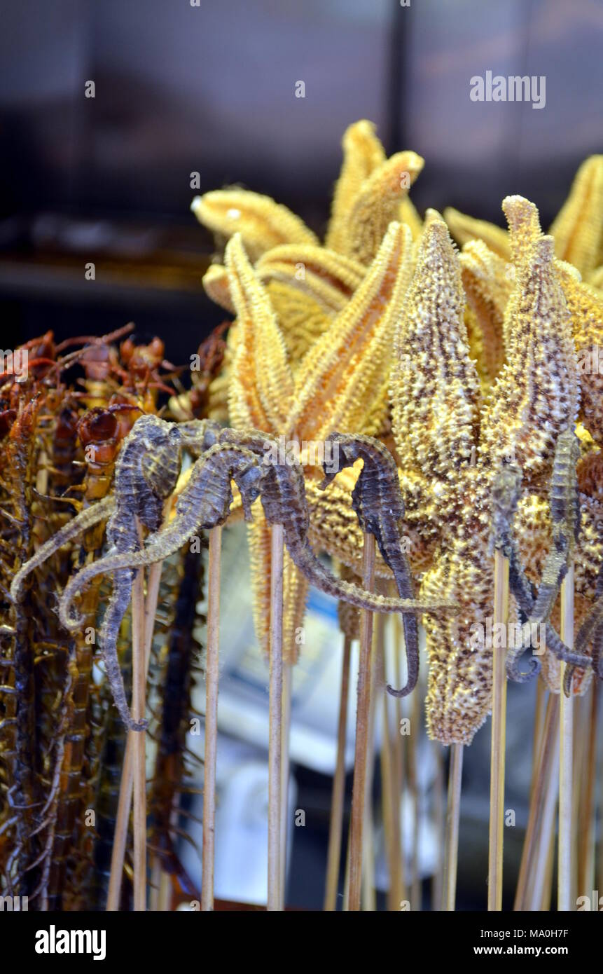 Fried seahorses - chinese delicacy at Wangfujiang street in China Stock ...