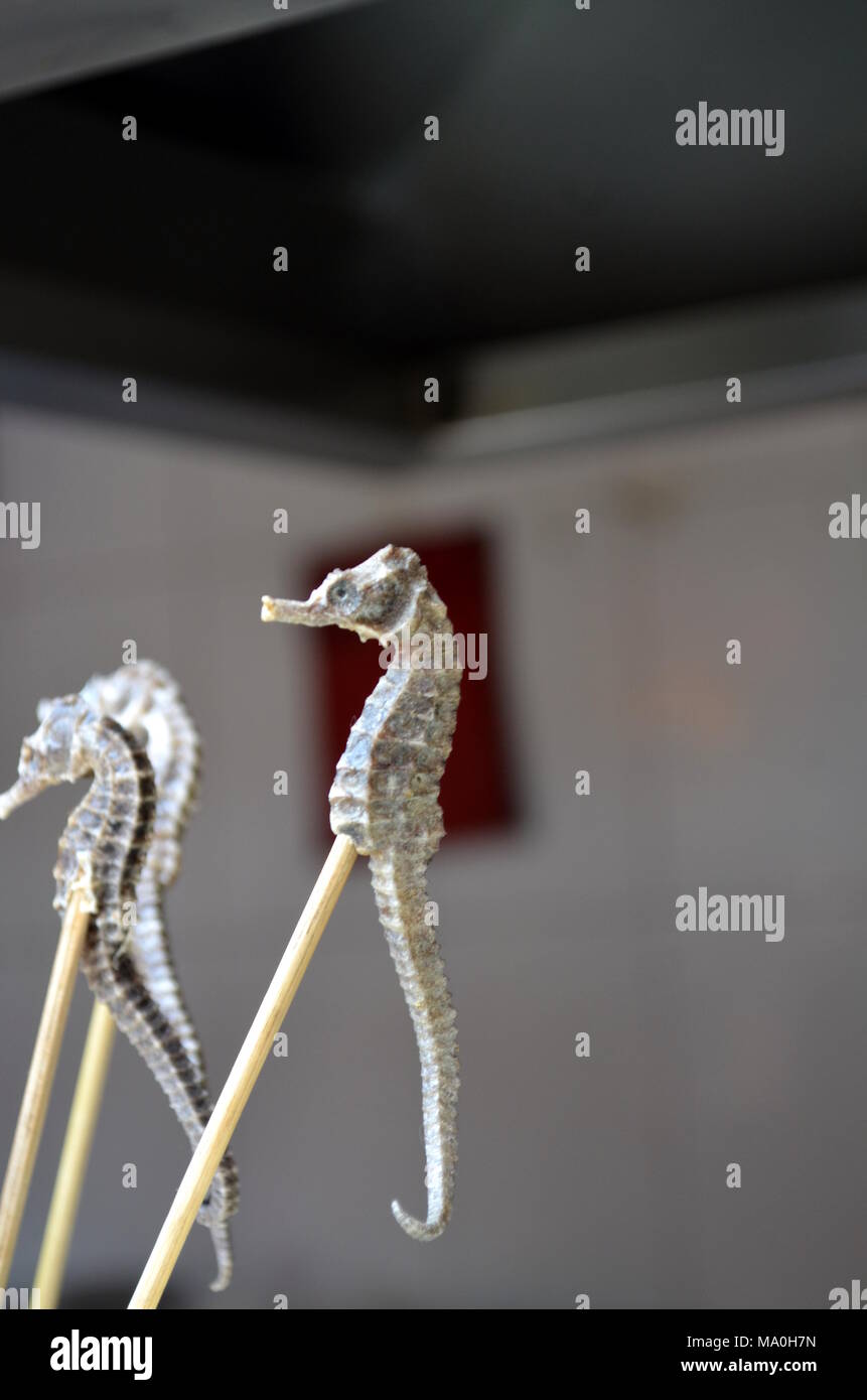 Fried seahorse hi-res stock photography and images - Alamy