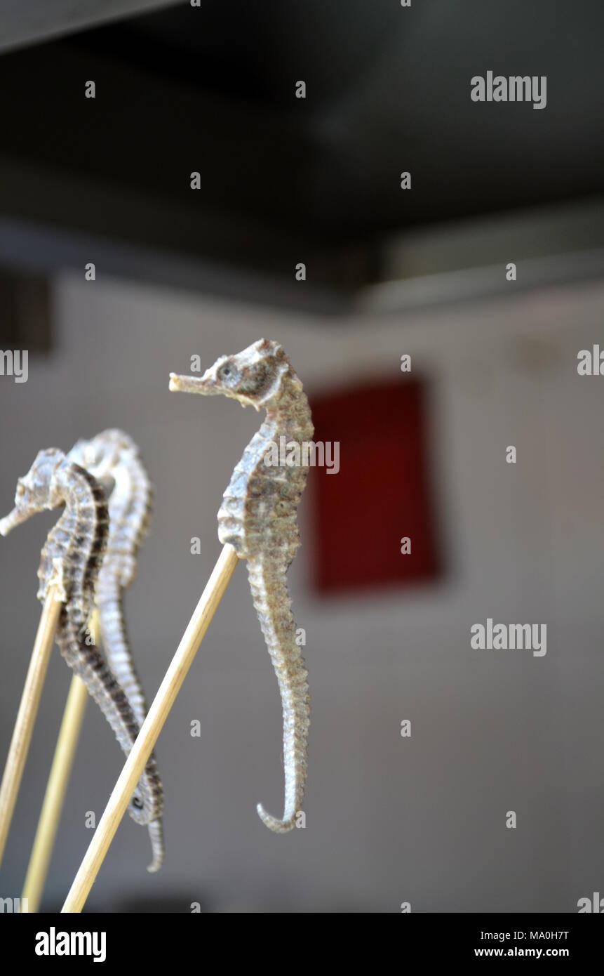 Fried snake hi-res stock photography and images - Alamy