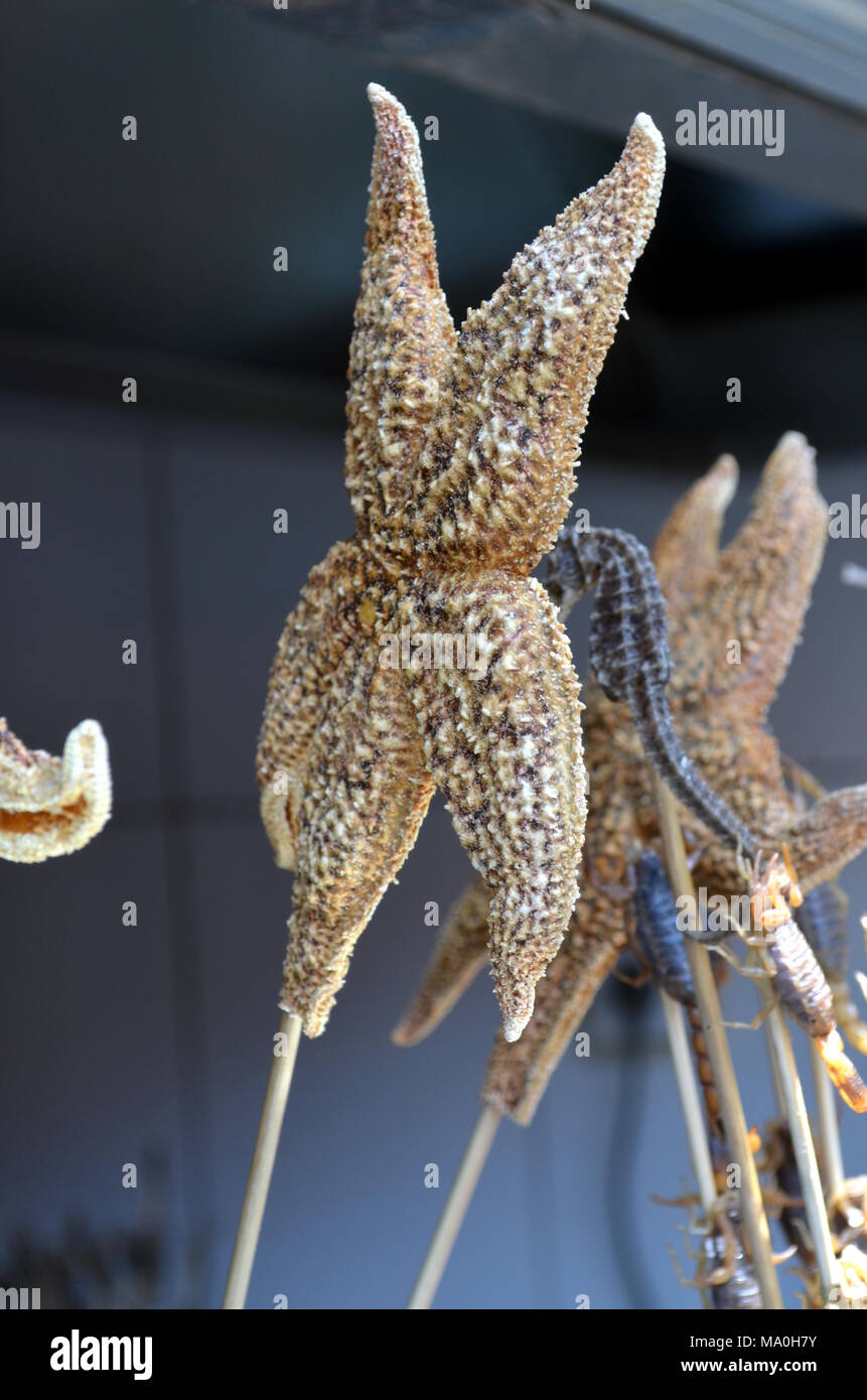 Fried seahorse hi-res stock photography and images - Alamy