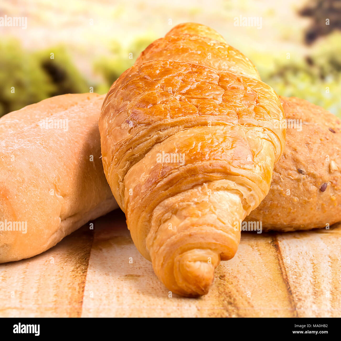 Organic Rolls Representing Delicious Baguettes And Baked Stock Photo ...