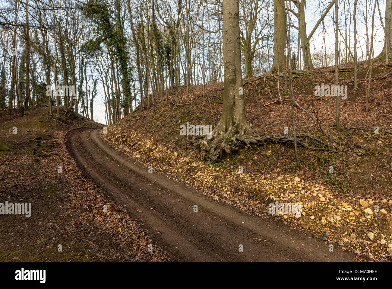 Mud Track High Resolution Stock Photography and Images - Alamy