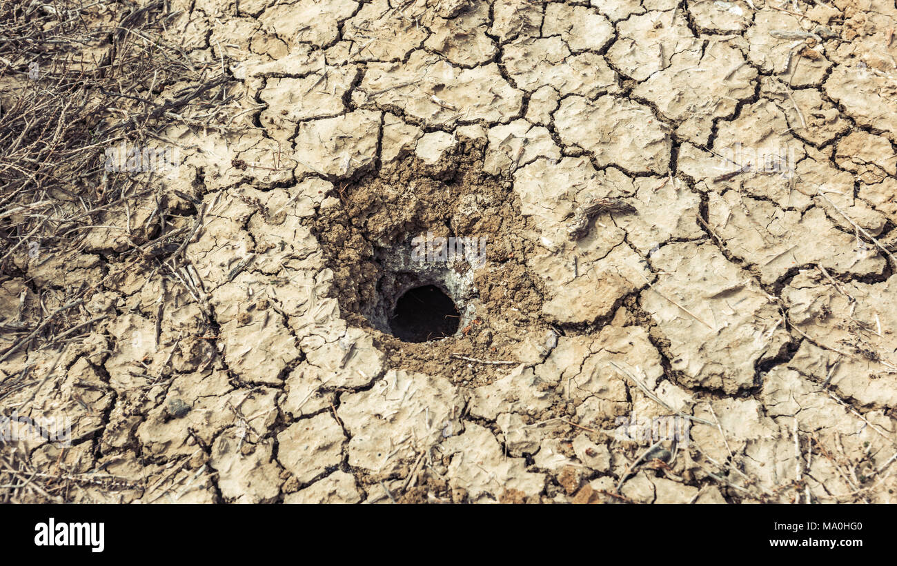 Rat hole hi-res stock photography and images - Alamy