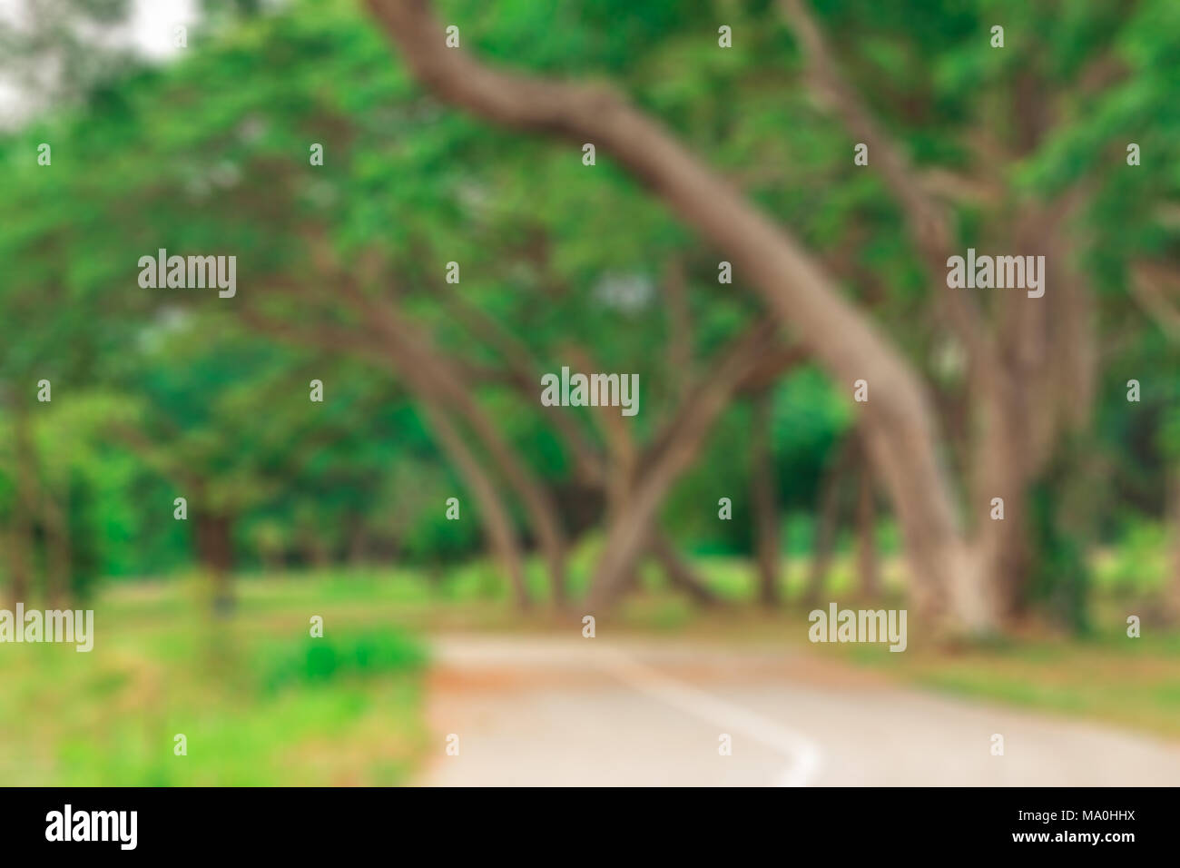 blurred background of urban landscapes and road Stock Photo - Alamy